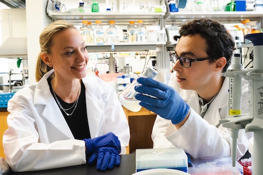 Rice lab grows macroscale, modular materials from bacteria | Rice News | News and Media ...